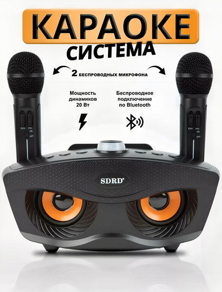 SDRD SD 306 (Чёрный) - караоке система с двумя радиомикрофонами, изменение голоса, Bluetooth ...