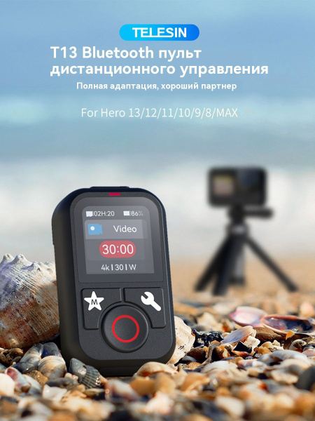 LISM Пульт для фотокамеры GoPro, черный матовый купить на OZON по низкой цене (1964502862)