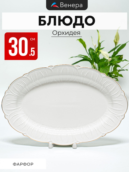 Блюдо Lenardi, Фарфор 1, диаметр30 см Глазурованное покрытие купить c доставкой на OZON по ...