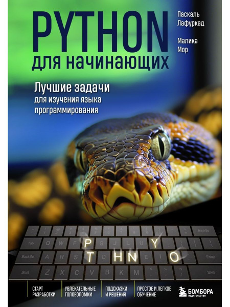 Python для начинающих Лучшие задачи для изучения языка программирования купить на OZON по низкой ...