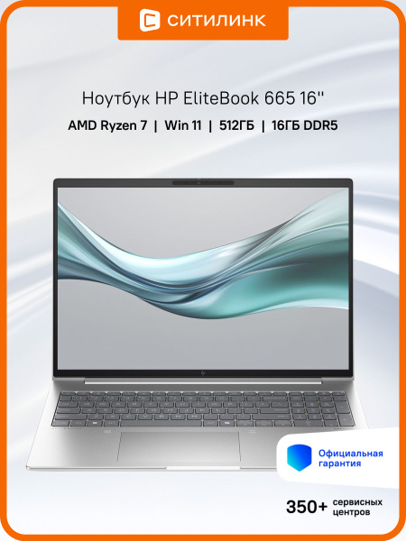 Ноутбук HP, 665 G11, 16 ГБ, серебристый купить c доставкой на OZON по ...