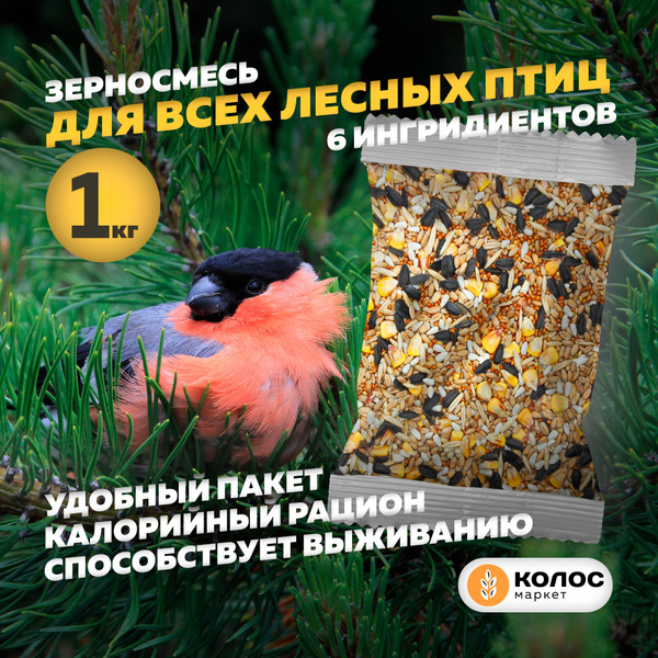 Корм для лесных и парковых птиц, зерносмесь Колос Маркет, 1 кг - купить ...