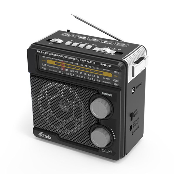 Радиоприемник Ritmix RPR-202 Black купить по низкой цене с доставкой в ...