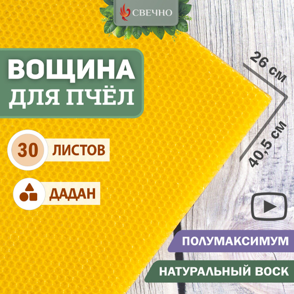 Вощина натуральная Дадан Полумаксимум для пчёл - купить с доставкой по ...