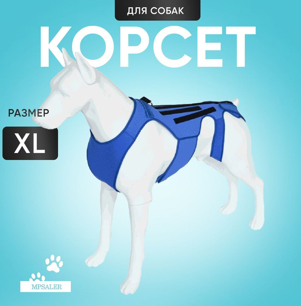 Корсет для спины собаки при болезни межпозвоночных дисков (IVDD ...