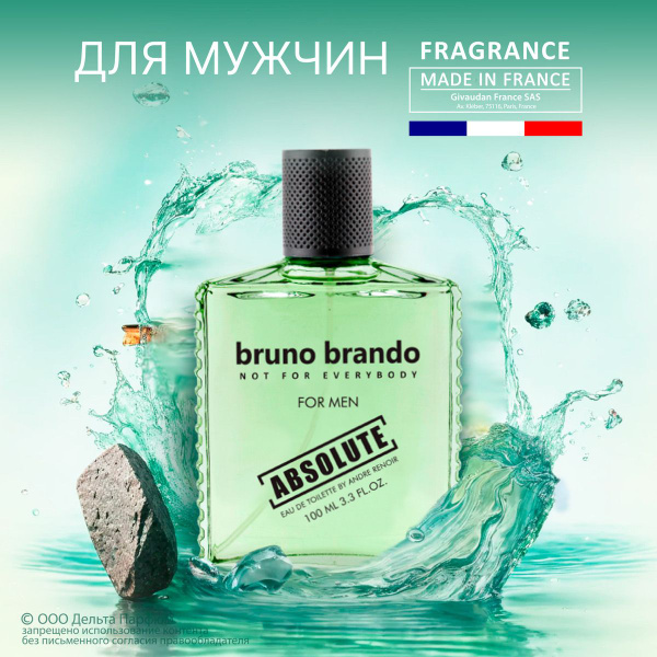Туалетная вода мужская 100 мл, Absolute Bruno Brando купить на OZON по ...