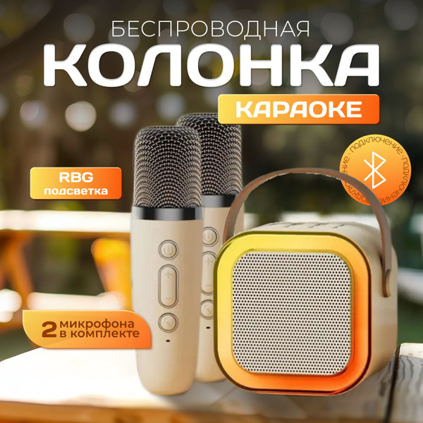Караоке система с двумя микрофонами / беспроводная колонка с ...