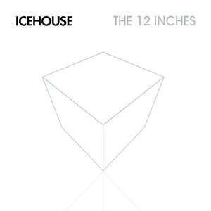 Audio CD Icehouse - 12 Inch Versions & Remixes Vol. 1 купить на OZON по ...