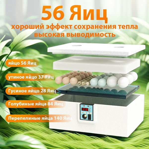 инкубатор для яиц автоматический, 56 Яиц, 220/12В - купить с доставкой ...