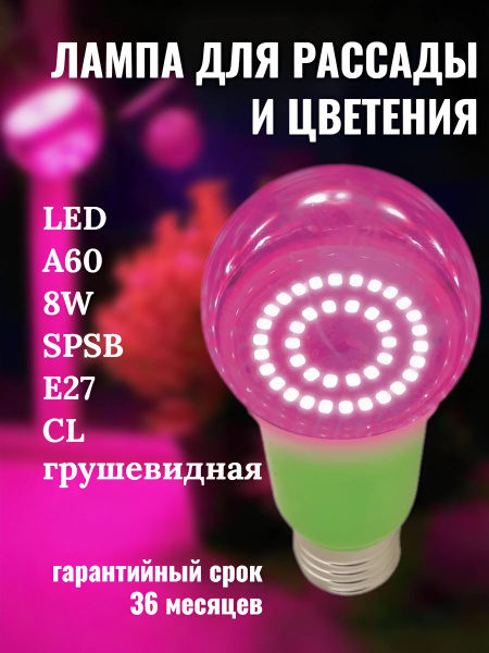 Светодиодная фитолампа для растений, рассады LED-A60-8W/SPSB/E27/CL - купить с доставкой по ...