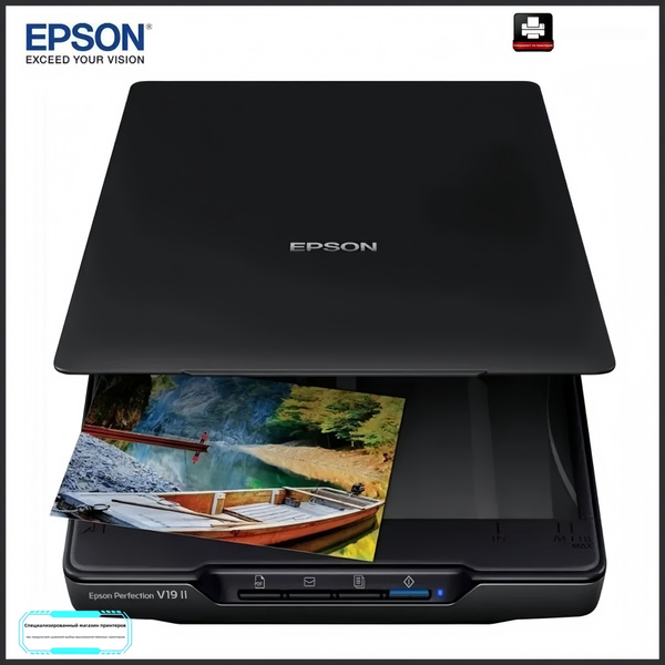 Сканер Epson V19 II - купить по выгодной цене в интернет-магазине OZON ...