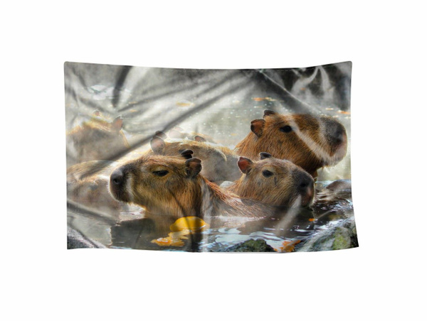 Характеристики Флаг MIGOM большой "Capybara v2, Капибара" - v0005 подробное описание товара ...