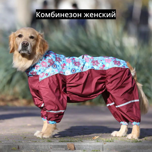 Комбинезон для собак крупных пород Chill Choll влагозащитный для ...