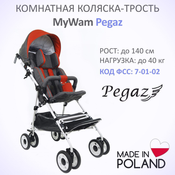 Комнатная коляска для детей с ДЦП MyWam Pegaz, облегченная коляска ...