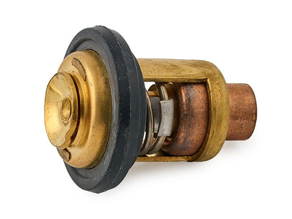 Термостат Yamaha F2 5 F4 F4a F6 60 градусов арт 66m 12411 01 купить на Ozon по низкой цене