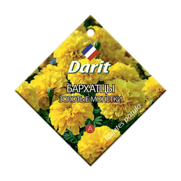 Darit 0-00021272-7S72 - купить по выгодным ценам в интернет-магазине ...