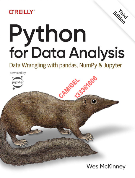 Python for Data Analysis: Data Wrangling with pandas, NumPy, and Jupyter купить на OZON по ...