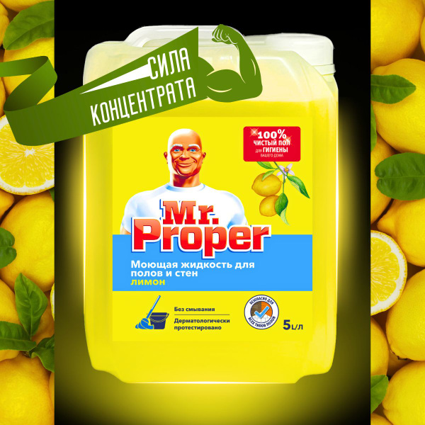 Средство для мытья полов и стен Mr. Proper Лимон, 5 л купить на OZON по низкой цене (1723835682)