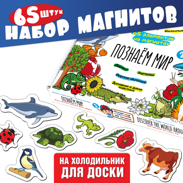 Магнитная развивающая игра. Изучение окружающего мира. Набор магнитов ...