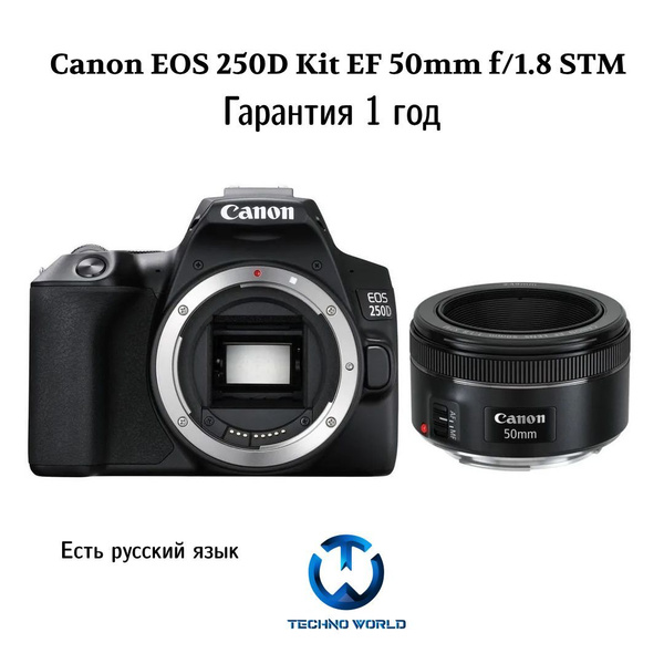 фотоаппарат Canon EOS 250D Kit EF 50mm f/1.8 STM ,черный купить на OZON ...