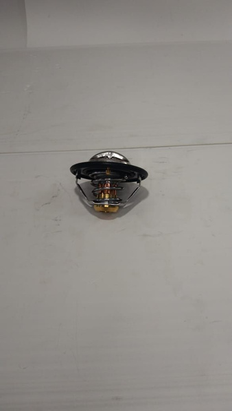 Термостат Cummins 5292739 купить на OZON по низкой цене (1783445134)