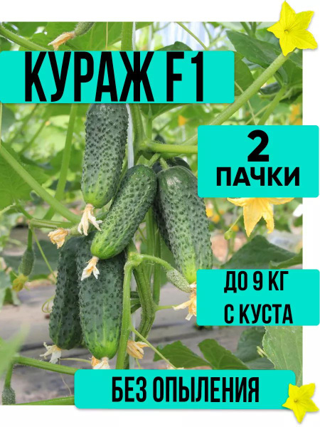 Огурцы Гавриш ogurec - купить по выгодным ценам в интернет-магазине ...