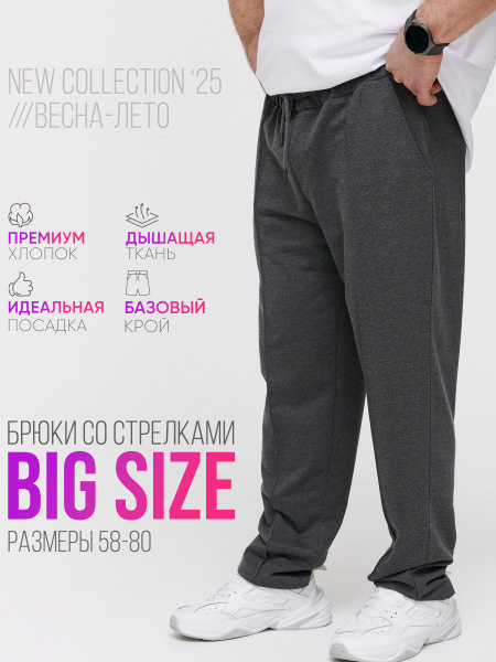 Брюки Мужской MR. BIGMAN прямые, классические темно-серый Хлопок Повседневный, размер 66 Завязки ...