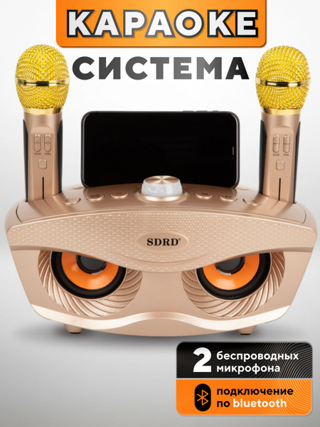 Караоке система для дома беспроводными микрофонами SDRD SD-306 Сова Золотая купить на OZON по ...