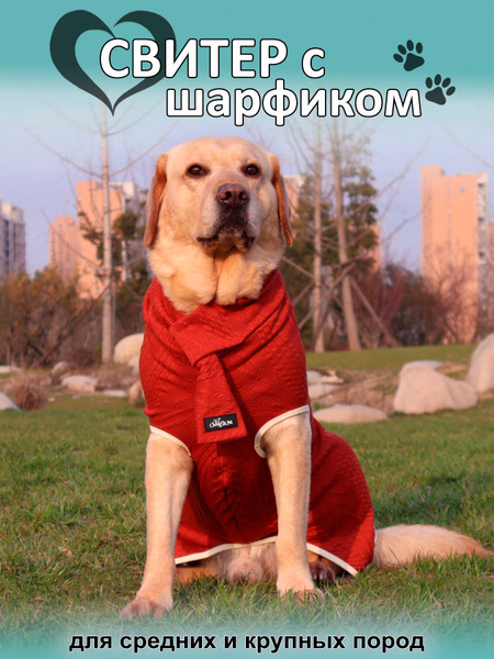 Свитер с шарфиком для собак средних и крупных пород, цвет красный, размер 5XL, Rexy crew купить ...