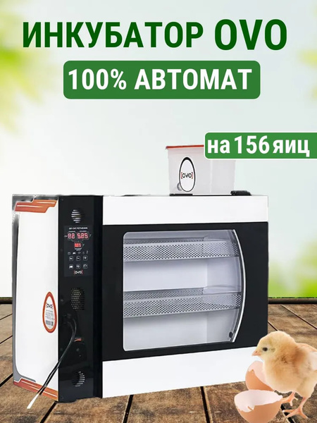 Инкубатор OVO на 156 яиц (100% автомат) купить на OZON по низкой цене (2193908466)