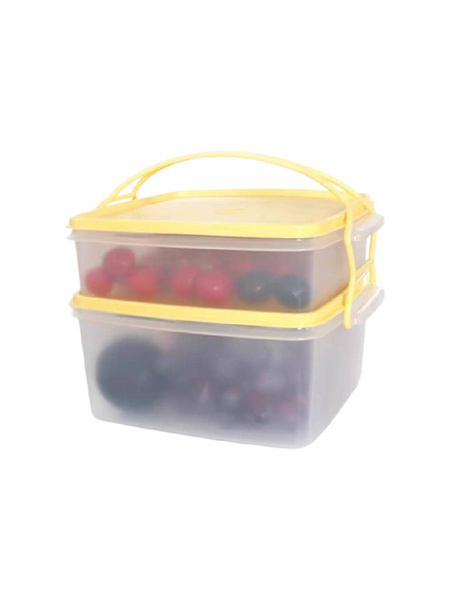 Tupperware Контейнер пищевой, 4000 мл, 2000 мл, 1 шт купить на OZON по низкой цене (2365705580)