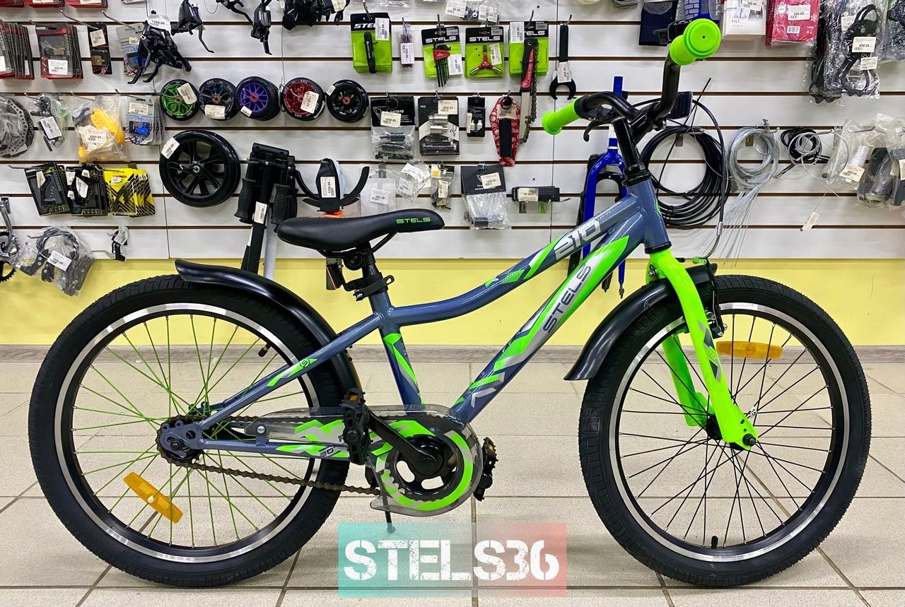 Stels 20" Pilot-210 купить на OZON по низкой цене