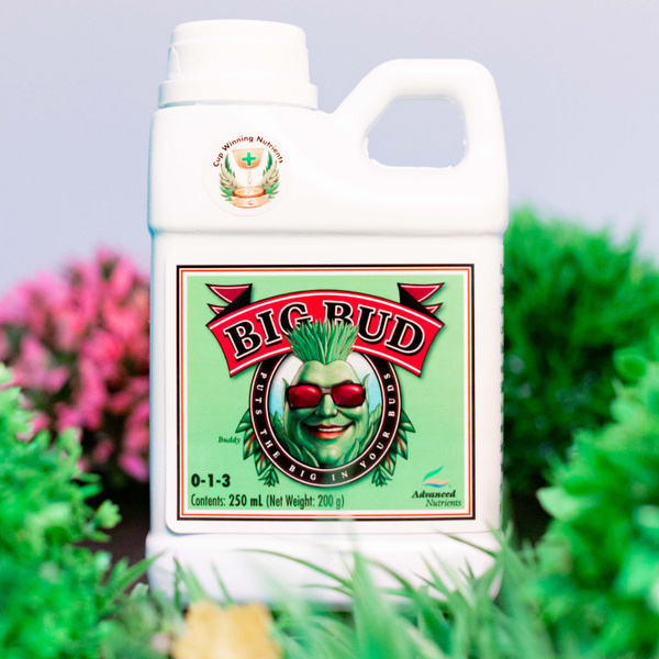 Стимулятор цветения AN Big Bud Liquid 250 мл - купить с доставкой по ...