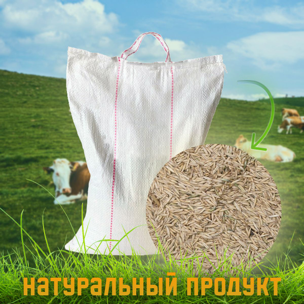 овес кормовой фуражный - купить с доставкой по выгодным ценам в ...