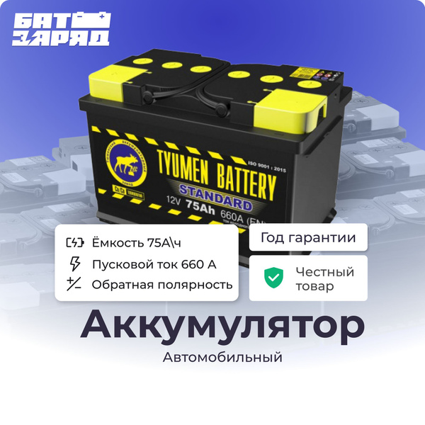 Аккумулятор автомобильный Tyumen Battery 6CT-STANDARD купить по ...