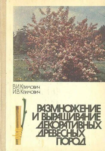 Размножение и выращивание декоративных древесных пород | Климович Ирина ...