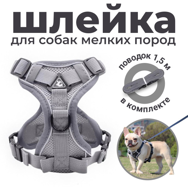 Шлейка для собак мелких пород с поводком - купить с доставкой по ...