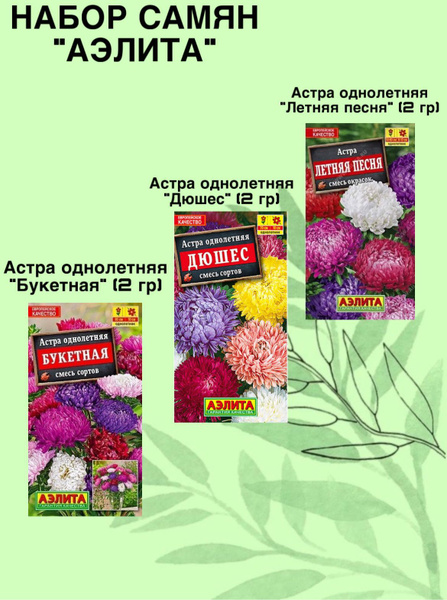 Астры однолетние набор цветов : астры смесь сортов - купить по выгодным ...