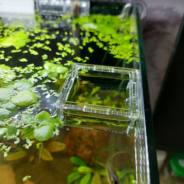 Кормушка для рыб в аквариум / Декорации для аквариума / Прозрачная ...