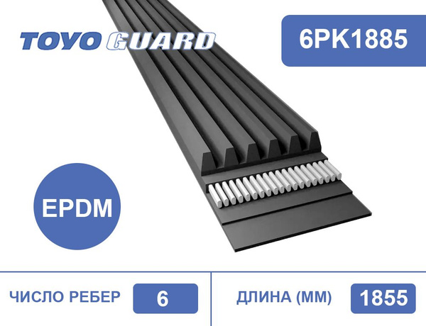 Ремень поликлиновой 6PK1885 Toyoguard - Toyoguard арт. 6PK1885 - купить ...