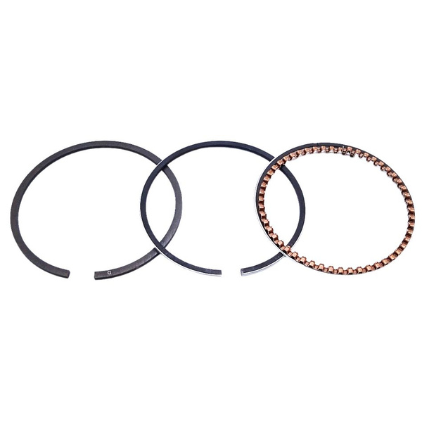 Комплект поршневых колец CHAMPION GG1200 54х1,5 купить на OZON по ...