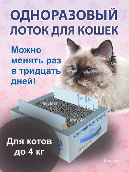 Кошачий чудо - горшок - купить с доставкой по выгодным ценам в интернет ...