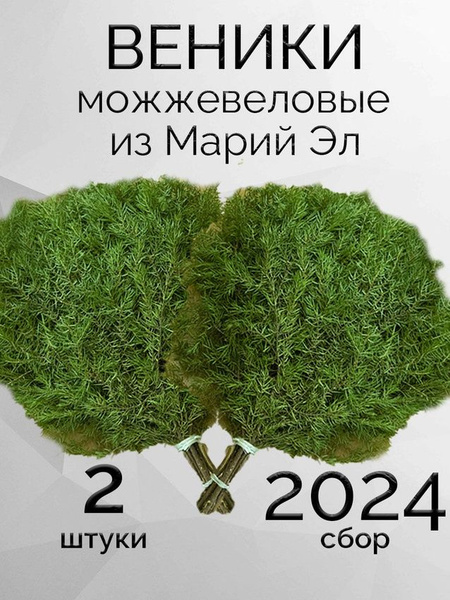 Можжевеловый веник для бани из Марий Эл в коробке 2 штуки - Веник для ...
