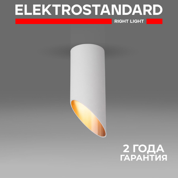 Потолочный накладной светильник в стиле модерн Elektrostandard DLN114 ...