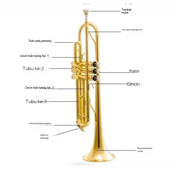 Yamaha YTR-8335GS играет на трубе - купить с доставкой по выгодным ценам в интернет-магазине ...