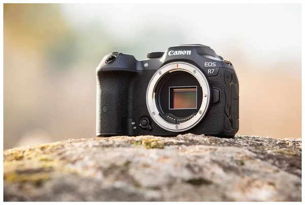 Беззеркальный фотоаппарат Canon EOS R7 Body - купить по низкой цене в ...
