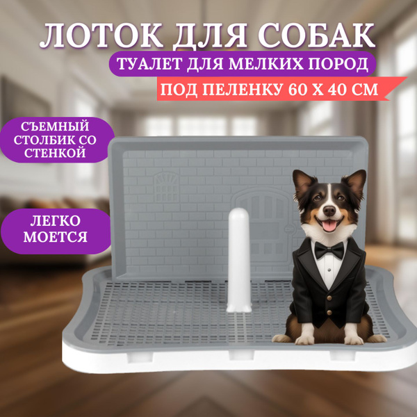 Лоток для собак под пеленку, туалет для собак и щенков - купить с ...