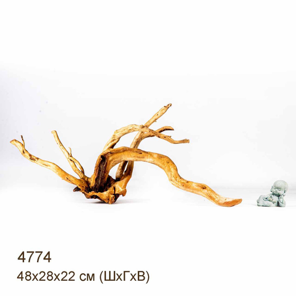 Коряга для аквариума натуральная. Корень Азалии - M. Декорация MASHA ...