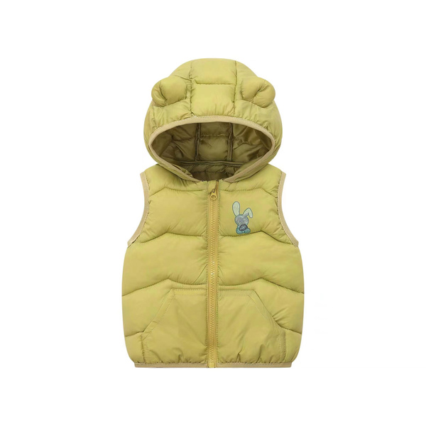 Жилет THANHDAT - купить с доставкой по выгодным ценам в интернет-магазине OZON (1689136194)