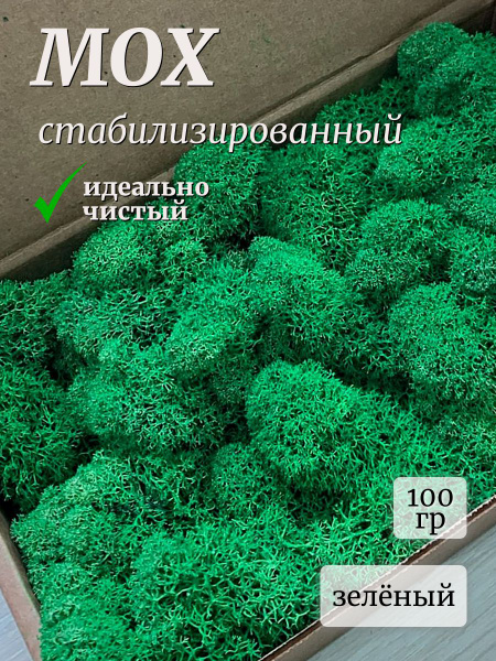 Стабилизированный мох SPECIALGREEN Мох, 100 гр, 100 шт купить по ...